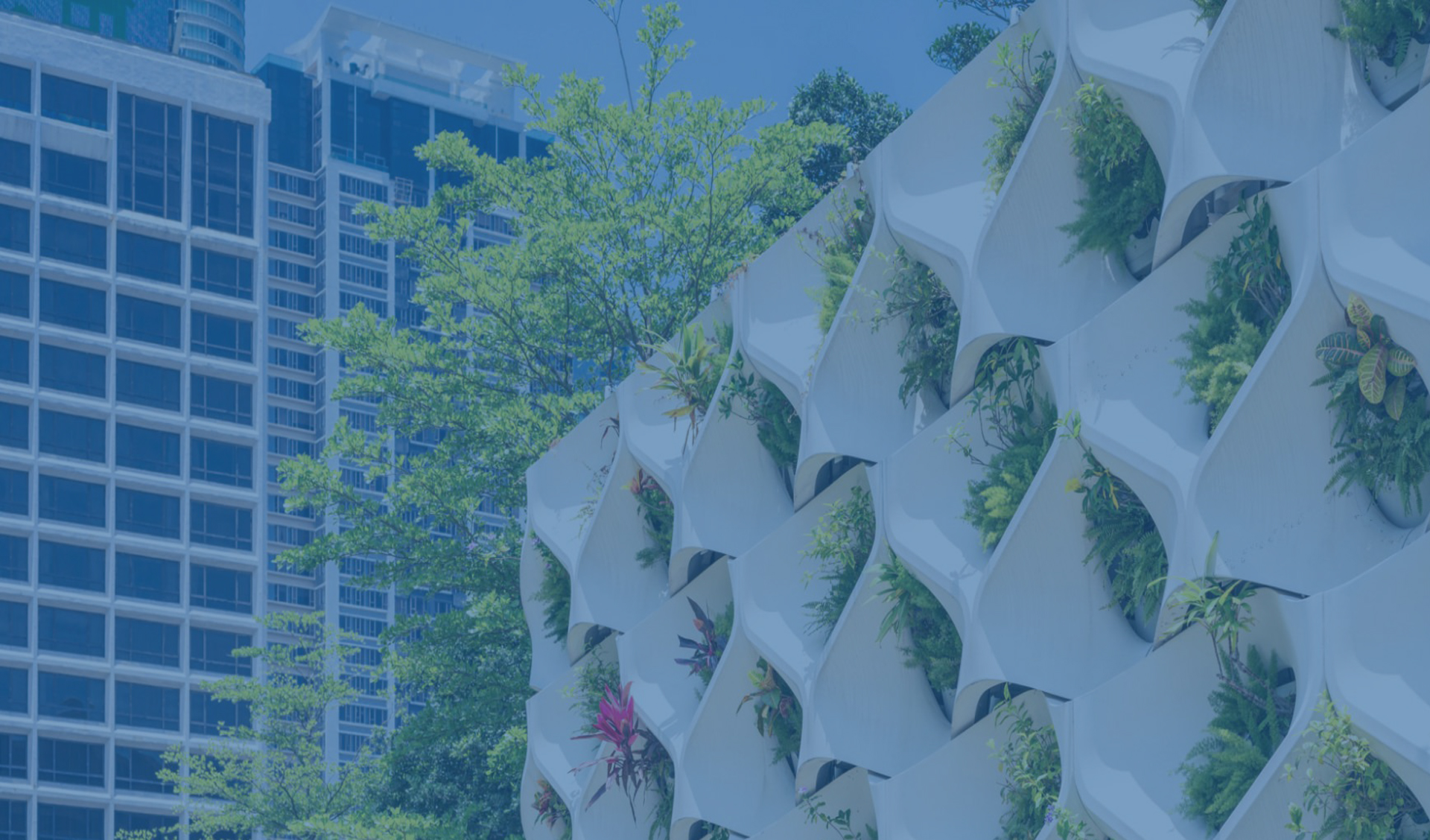 Expertise Across Sustainability Landscape